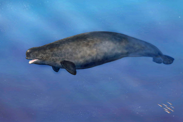 5 Most Shocking Hybrid Animals That Actually Exist