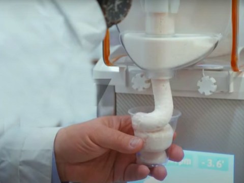 (Video) Watch How Scientists Created Meat Flavored Ice Cream