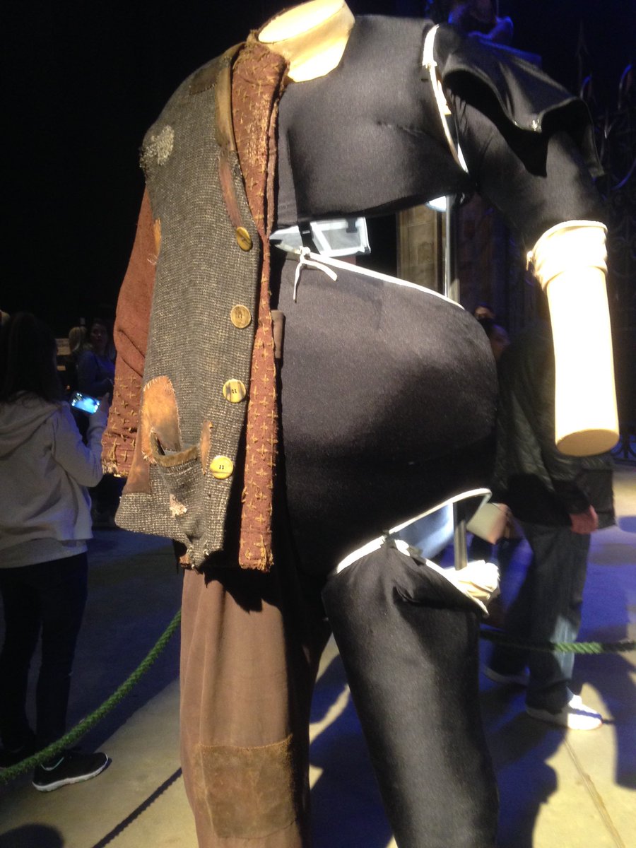 (Video) Check Out Hagrid's Behind-The-Scene Secrets Revealed!